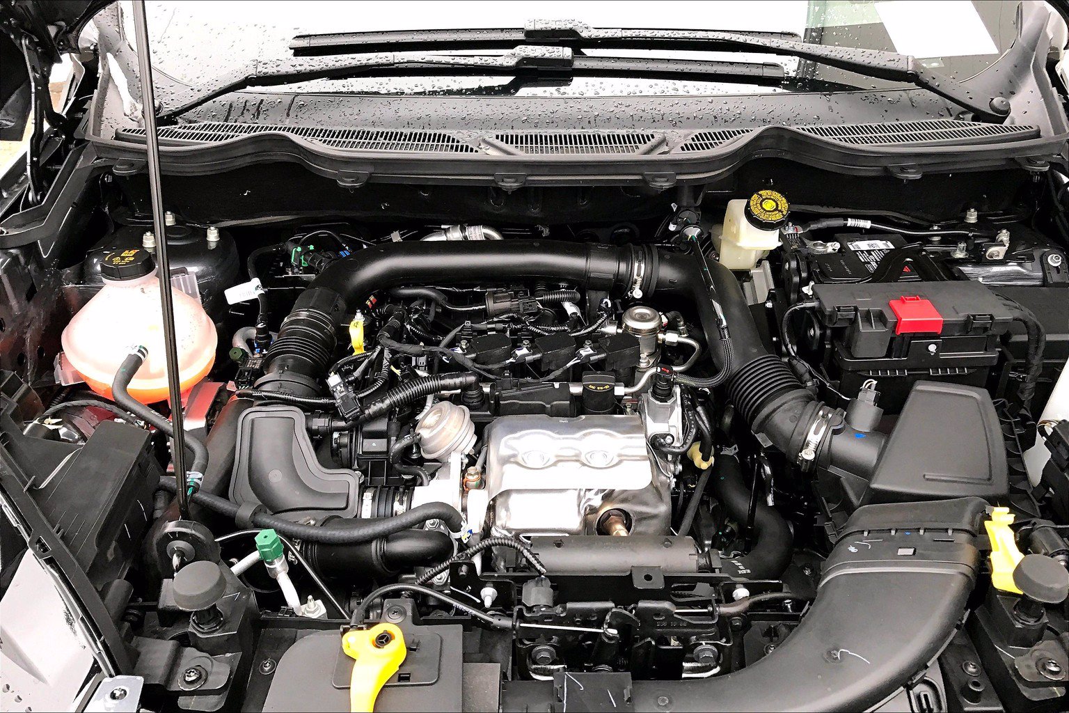 New 2020 Ford Ecosport S 4d Sport Utility In Morton 343426 Mike